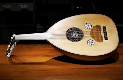 Guitar Like Instruments - 8 Instruments Similar to Guitars!