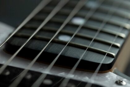 Richlite vs Ebony Fretboard - Which Guitar Fingerboard to Pick?