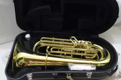 How Much Does a Tuba Cost? - A 2024 Guide on Tuba Pricing