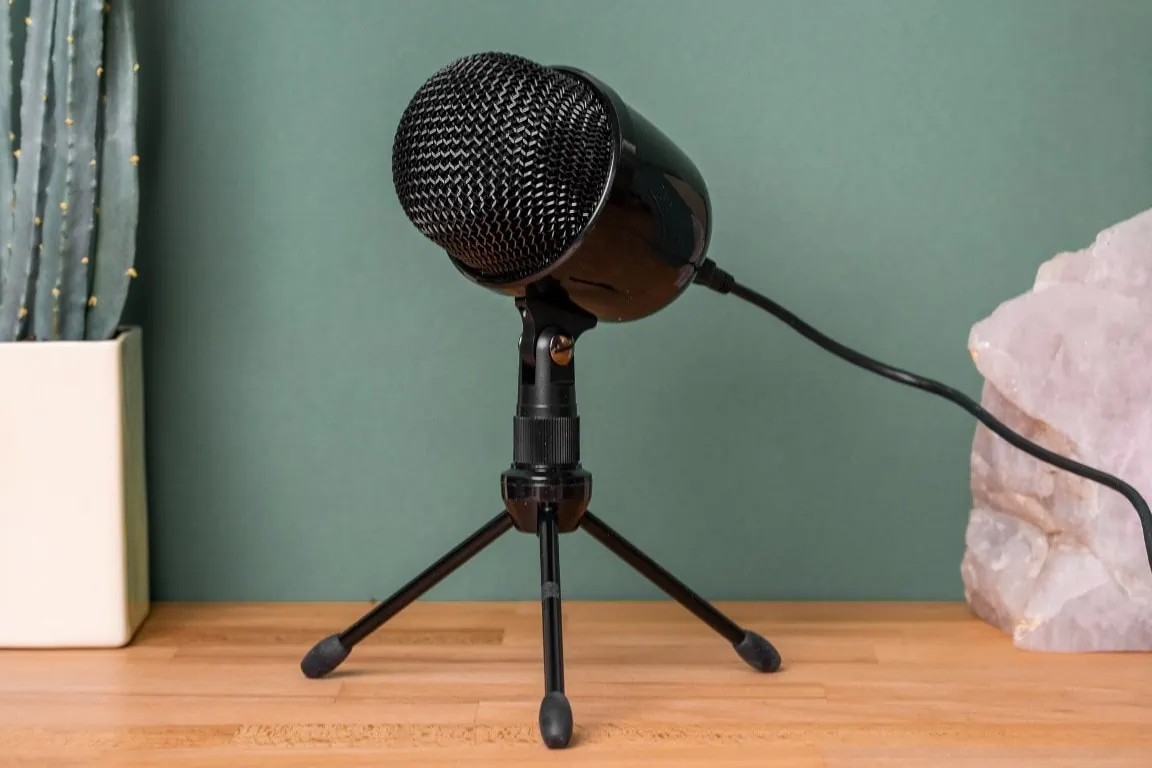 Worst Microphones in Existence that You Should Avoid at Any Cost!