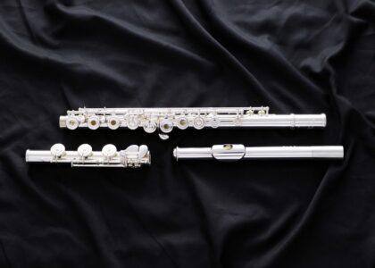 How Much Does a Flute Cost? (2024 Prices of Various Flutes!)