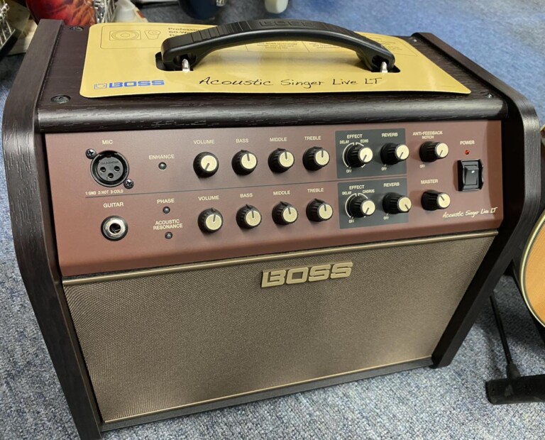 7 Best Vocal Amps for Singers (Incl. PA Speakers)