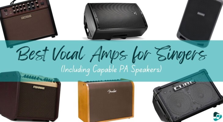 7 Best Vocal Amps for Singers (Incl. PA Speakers)